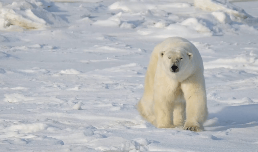 Embracing the Chill: Six Educational Endeavors to Try Over Winter Break